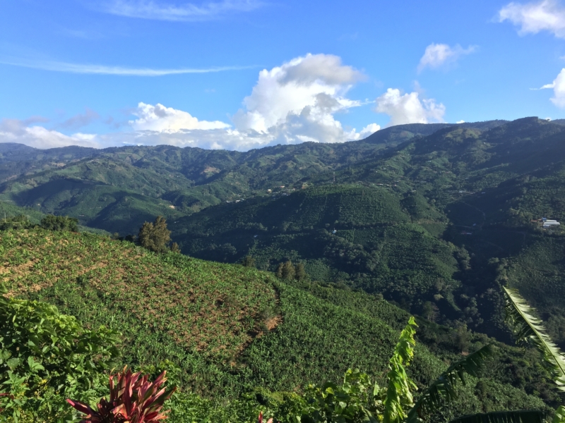 Ceca S.A. – Ceca S.A.